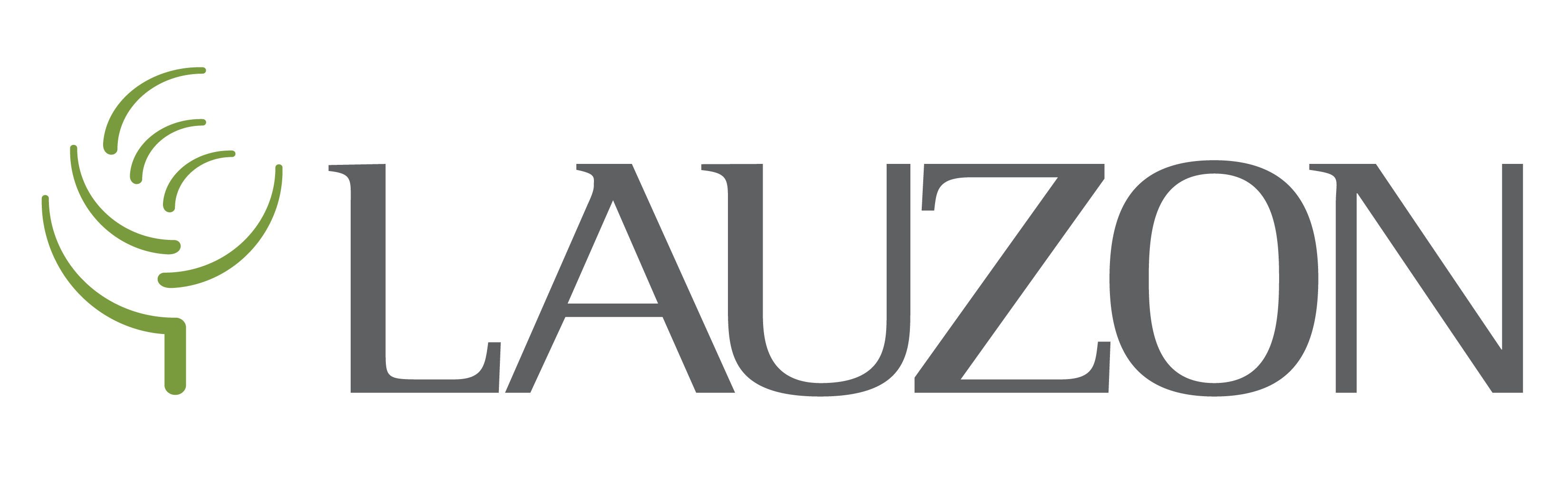 Online Store | Lauzon